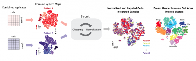 Single-cell Map of Diverse Immune Phenotypes Driven by the Tumor ...