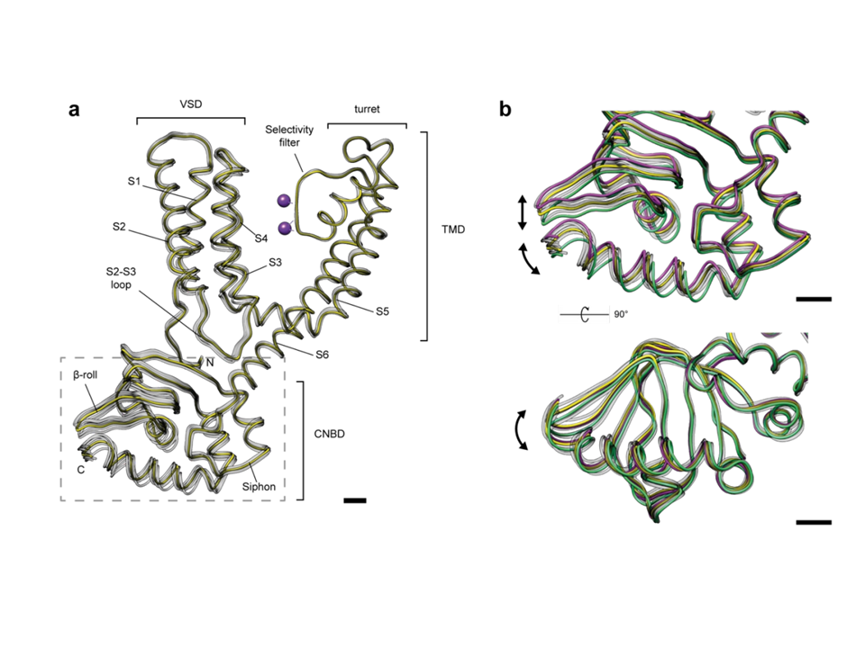 Retrieving High-Resolution Information from Disordered 2D Crystals by ...