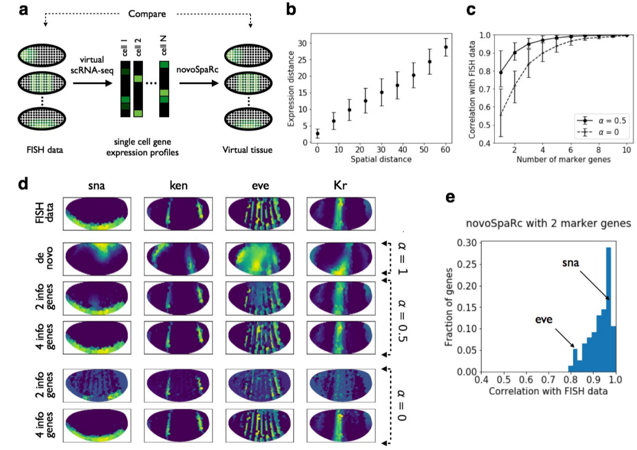Charting a tissue from single-cell transcriptomes - preLights
