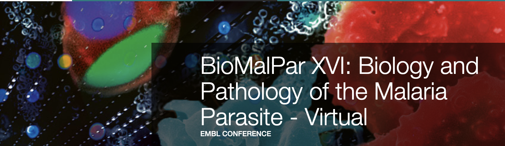 BioMalPar XVI: Biology and Pathology of the Malaria Parasite - preLights