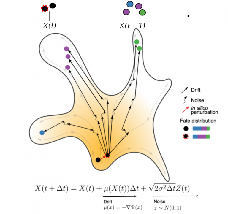 Generative modeling of single-cell population time series for inferring ...