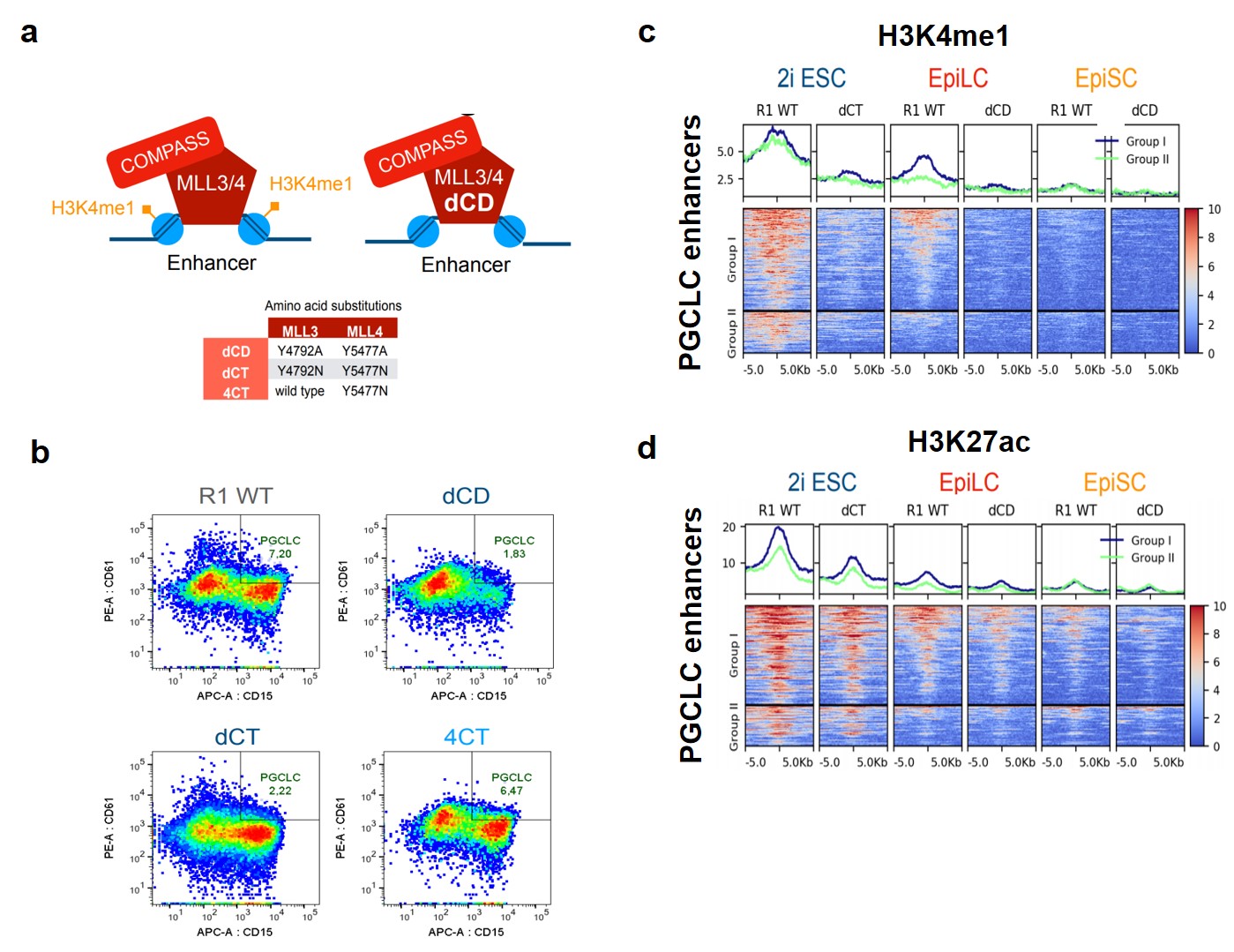 Enhancer-associated H3K4 methylation safeguards in vitro germline ...