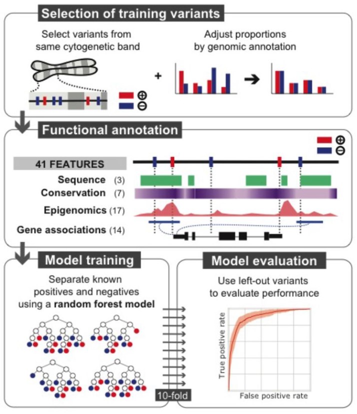 Classification Of Non Coding Variants With High Pathogenic Impact Prelights