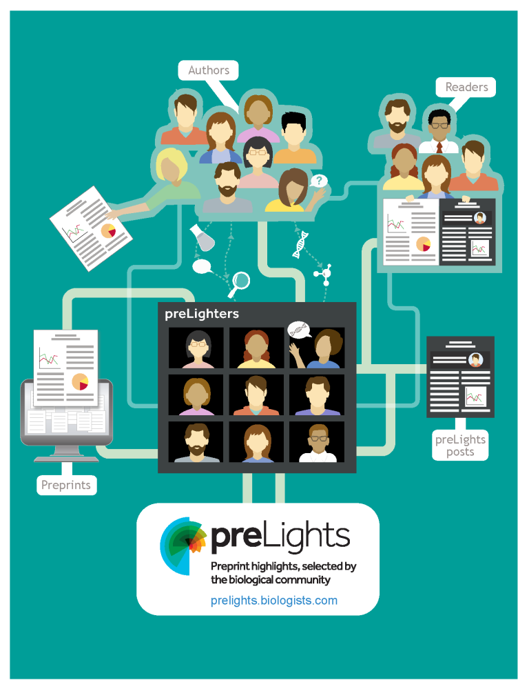 Become a preLighter - preLights