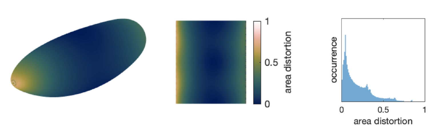 Morphodynamic Atlas for Drosophila Development - preLights