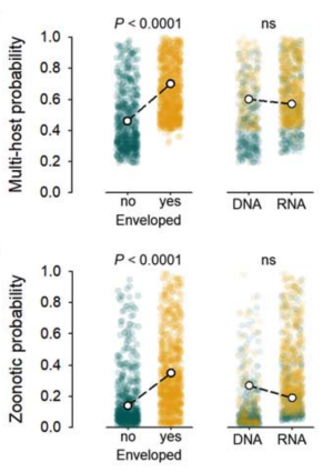 Angika Basant_prelight_10_Aug 2022 - preLights