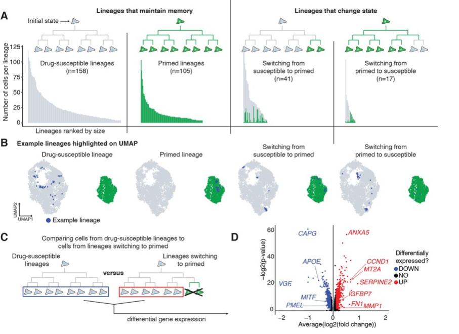 Disrupting cellular memory to overcome drug resistance - preLights