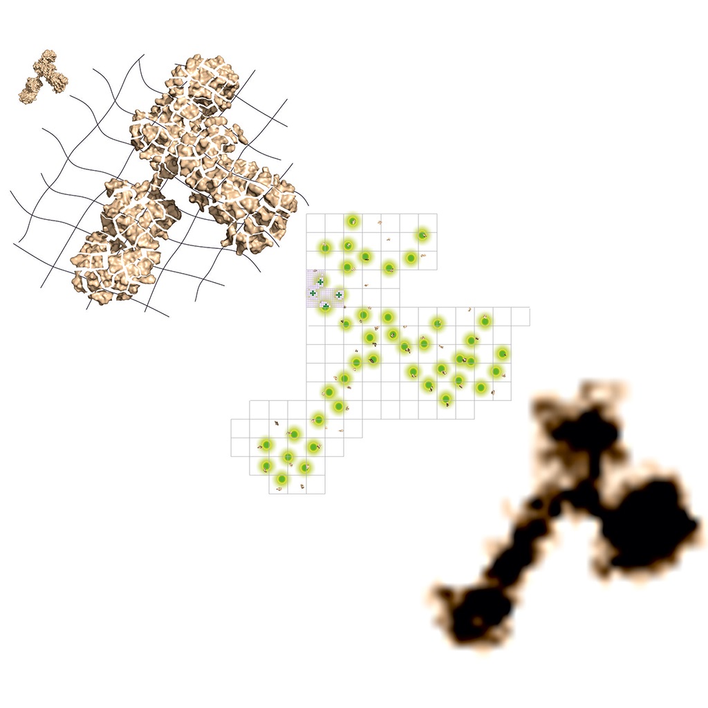 Expansion microscopy at one nanometer resolution - preLights