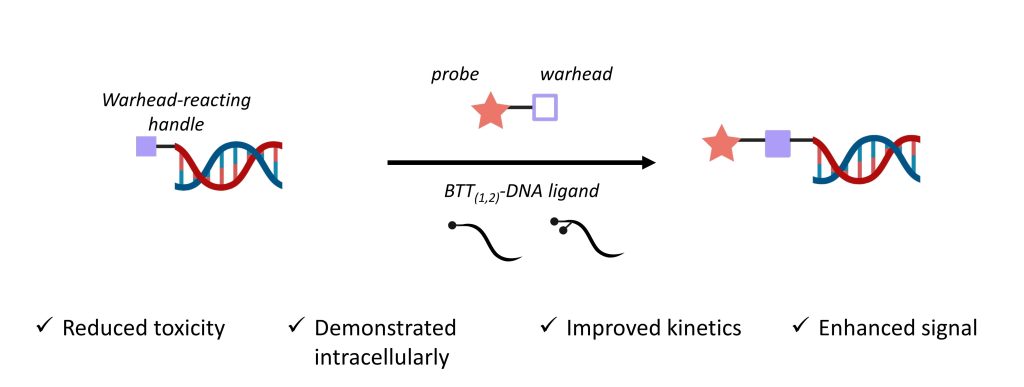 DNA-enhanced CuAAC ligand enables live-cell detection of intracellular ...