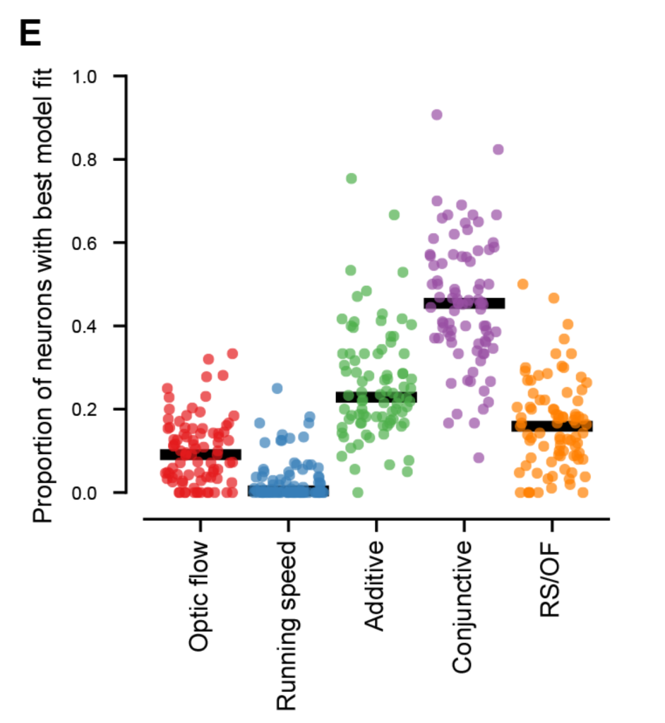 A depth map of visual space in the primary visual cortex - preLights