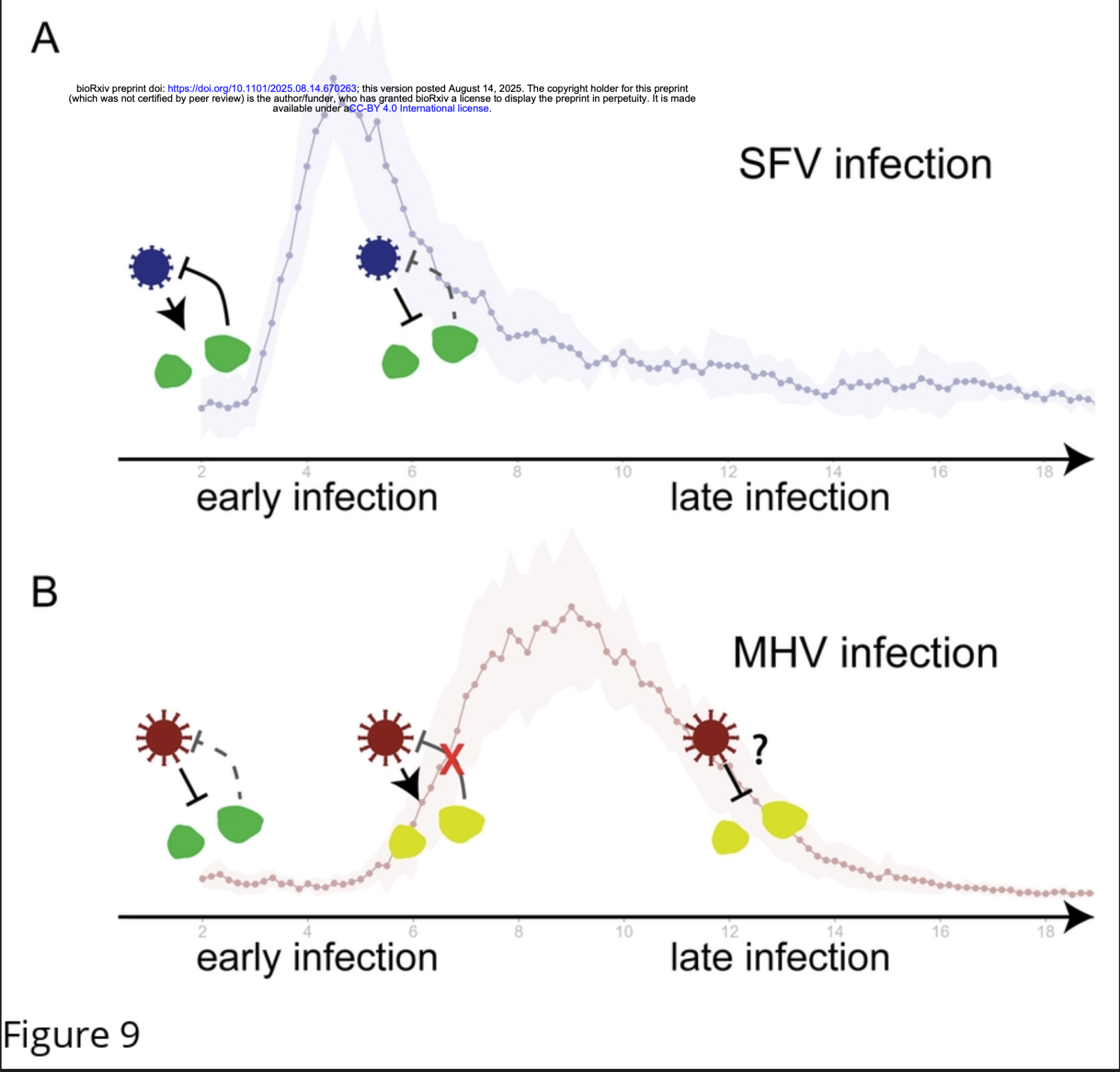 Stress granules formed during different RNA virus infections show ...